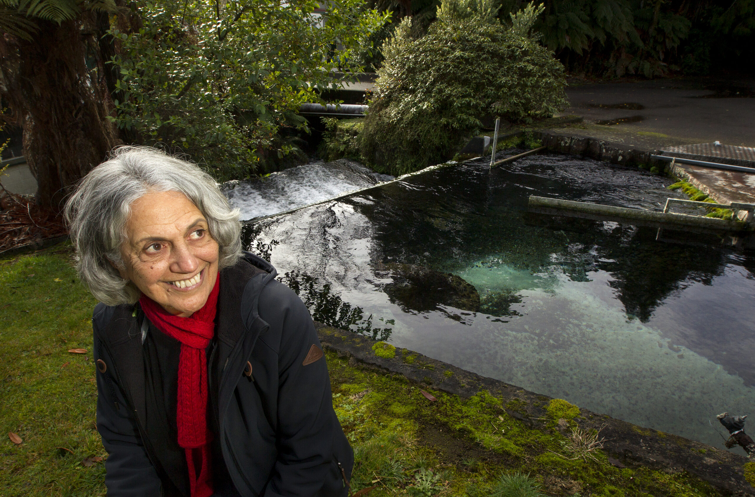 Ngāti Kea Ngāti Tuara | Our Assets | Whai Rawa